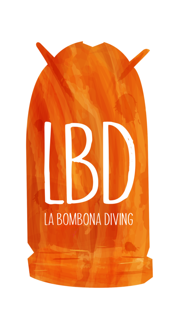 Escuela de Buceo en Koh Tao LBD – La Bombona Diving